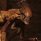 Alien 3 – Accessory Pack – Creature Pack – NECAOnline.com