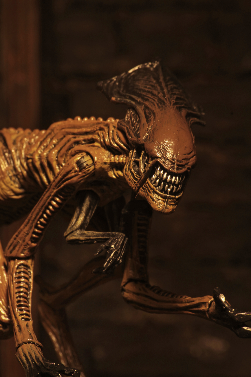 Alien 3 – Accessory Pack – Creature Pack – NECAOnline.com
