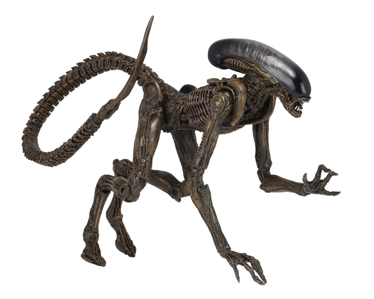 Alien 3 – 7” Scale Action Figure – Ultimate Dog Alien – NECAOnline.com
