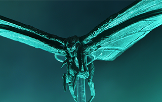 Godzilla: King of Monsters – 12″ Wing-to-Wing Action Figure – Mothra ...